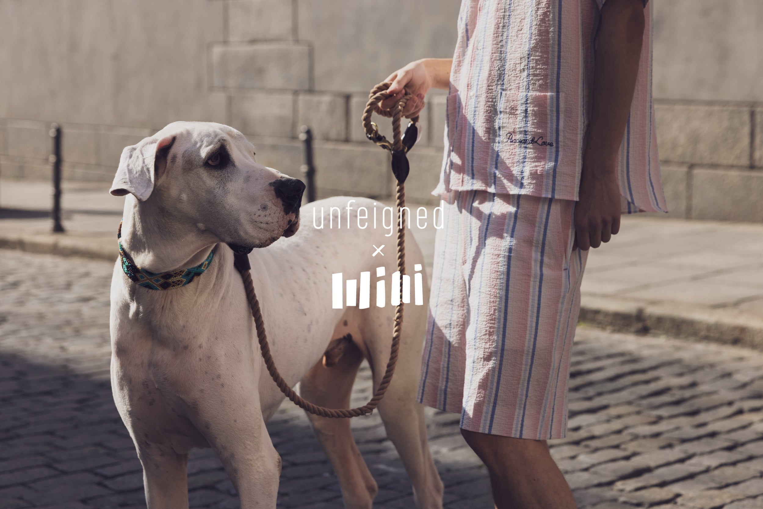 gear for modern minds – unfeigned